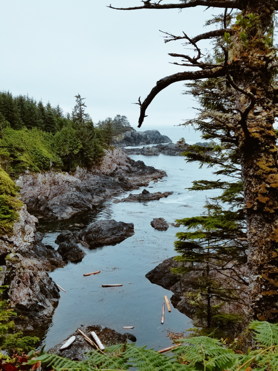 How to Spend Five Days in Ucluelet » To Olympus and Back